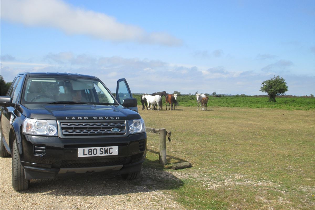 Land Rover Freelander 2 2006 - Owners' Reviews | Honest John