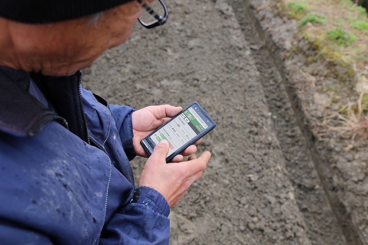 Drivers Warned Over New DVLA Text Message Scam Legal Advice Honest John drivers-warned-over-new-dvla-text-message-scam-legal-advice-honest-john